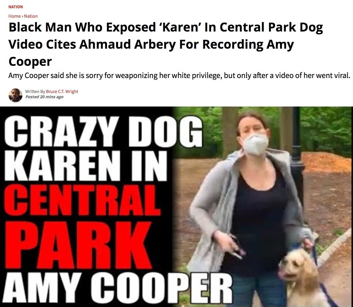 Amy Cooper, the “Central Park Karen” catastrophe and the #Karen complex ...