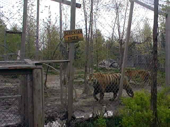 Enjoy A Weekend Full Of Learning and Fun By Visiting the Zoo | by The ...