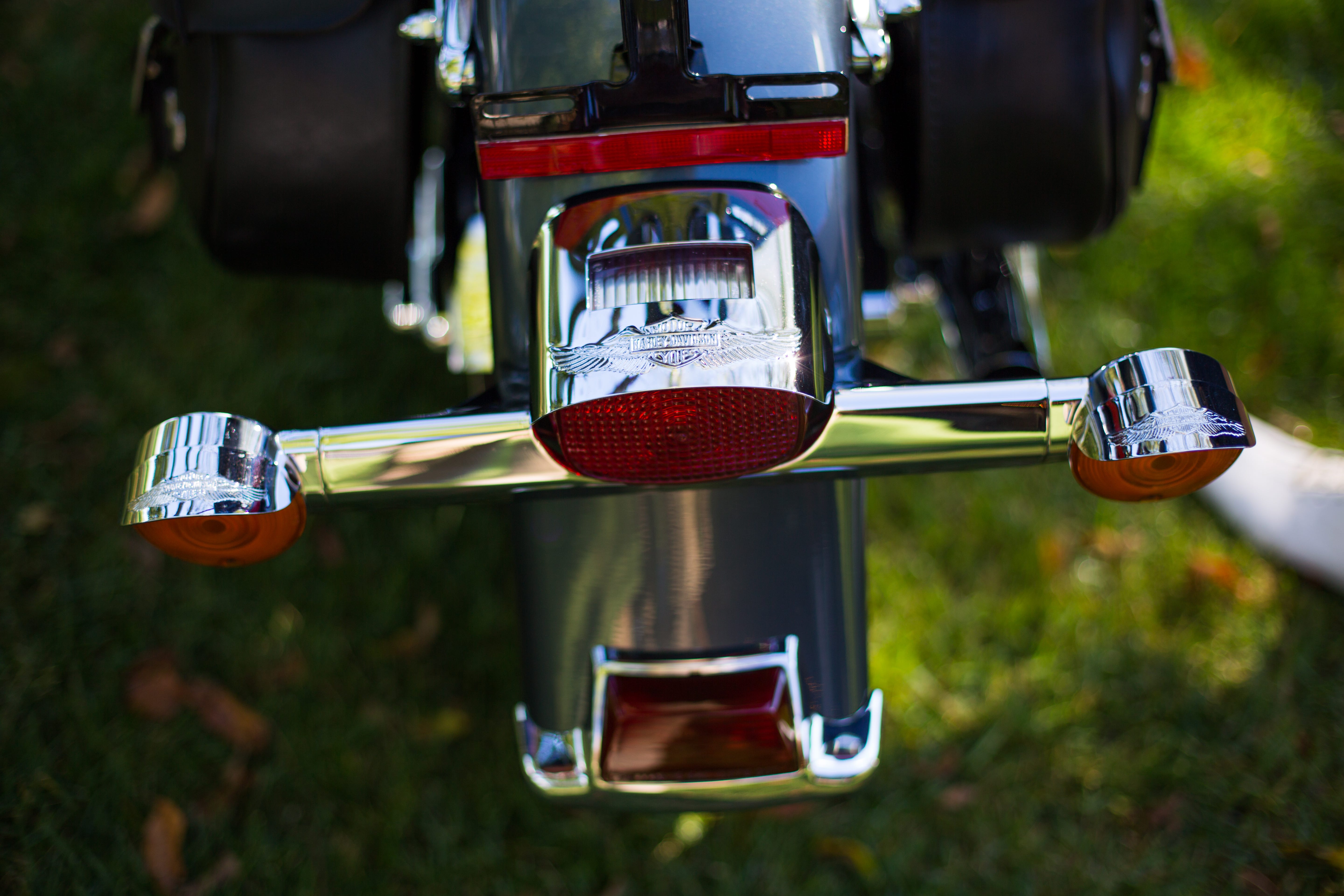 Charlie and the Harley. Nothing warms a heart more during the… | by ...
