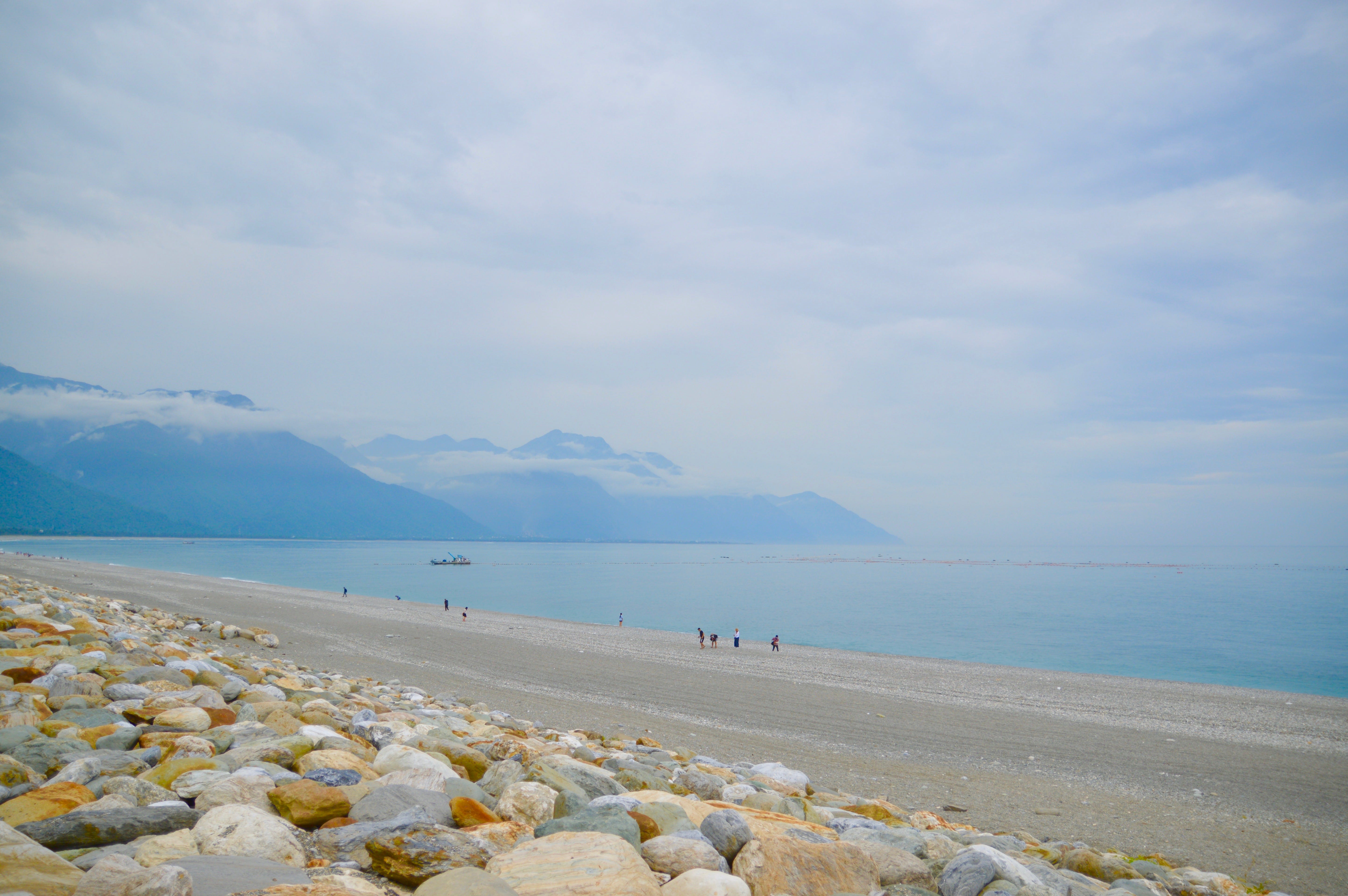 UI hands-on 01: Autocomplete using Javascript, Html, CSS | The Startup