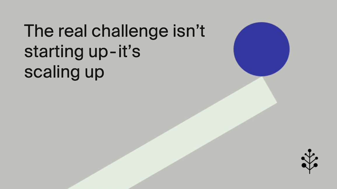 The Real Challenge Isn’t Starting Up — It’s Scaling Up | by James ...