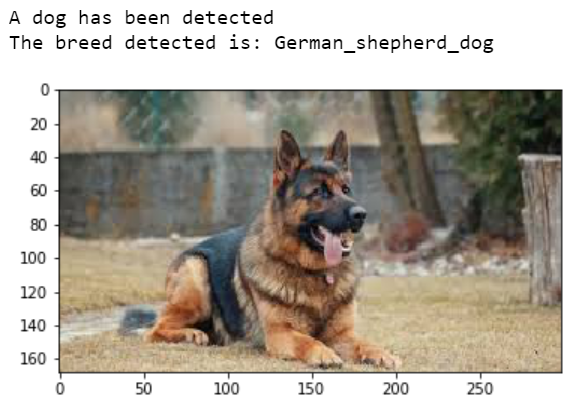 Dog Breed Classifier — Udacity Data Science | by Preet Kamal Singh | Medium