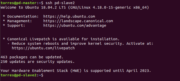 How to Install and Set Up an Apache Spark Cluster on Hadoop 18.04 | by João Torres | Medium