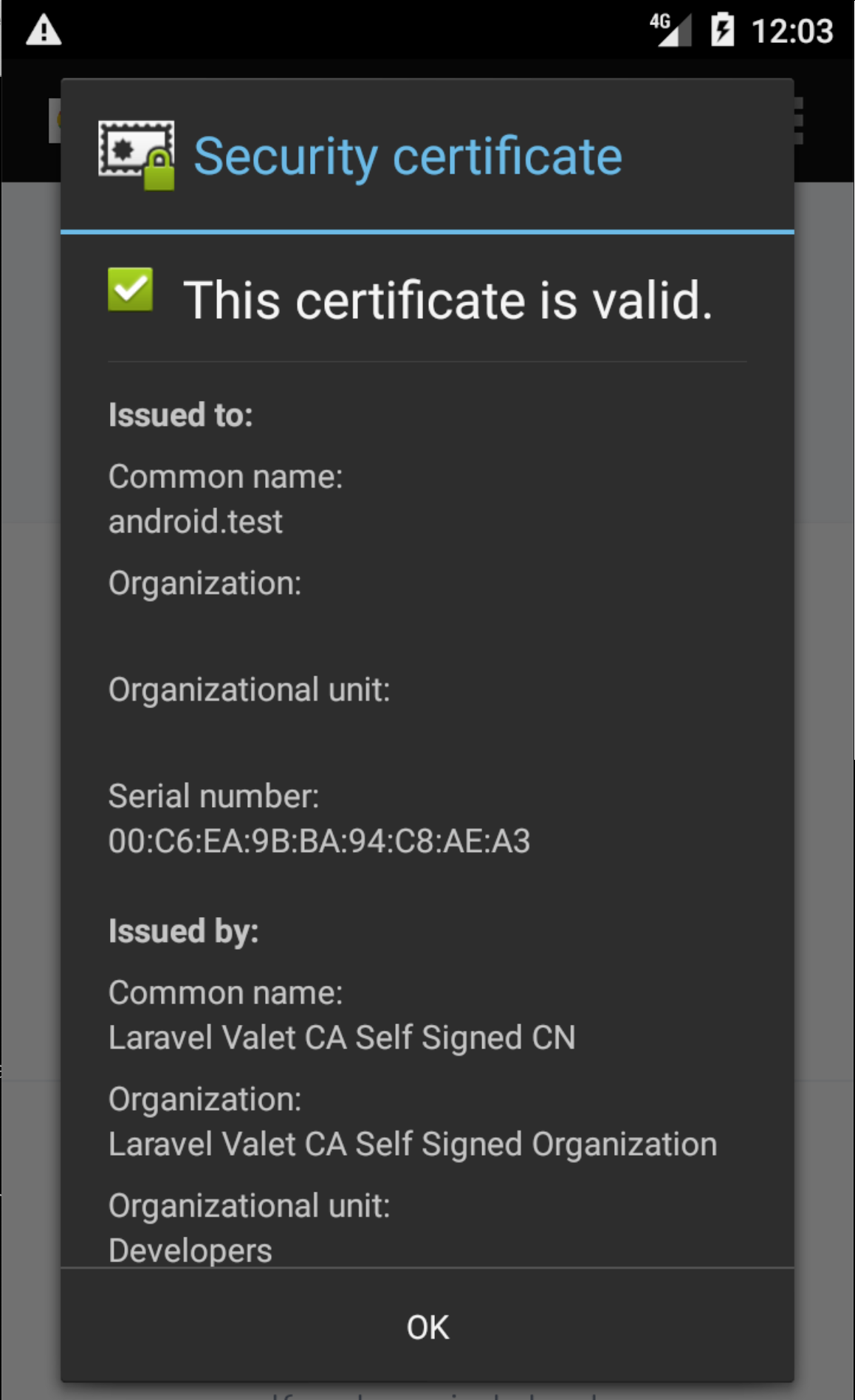 How To Use Laravel Valet With Ios Simulator And Android Emulator By Luca Longo Medium