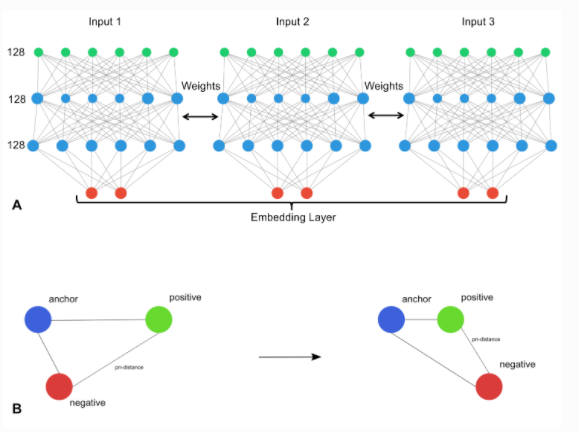 Real World ML:Siamese Networks. Siamese Networks belongs to particular ...