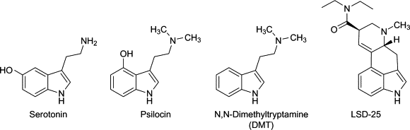 Unraveling the Biological Underpinnings of Psychedelics | by Ruben ...