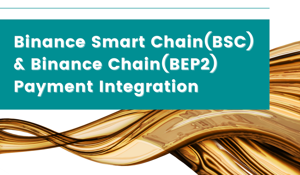 Announcing the Binance Chain (BEP2) and Binance Smart Chain (BSC) payment integration | by ...
