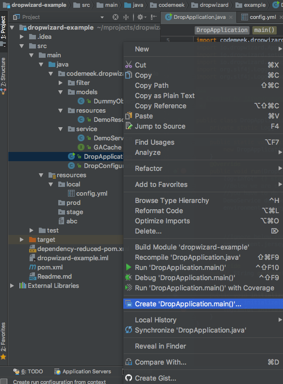 Dropwizard setup on IntelliJ Idea | by JITENDRA GANGWAR | Medium