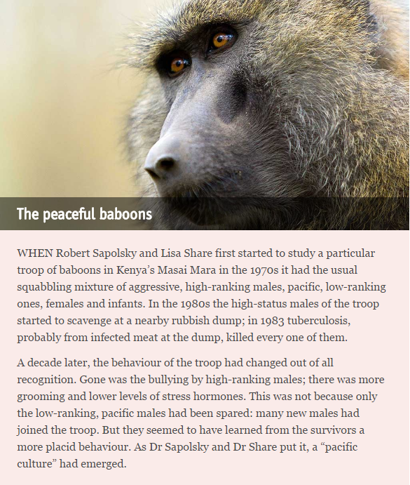 Can we know what animals are thinking? | by The Economist | The Economist
