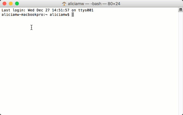 Filtering CSV files outside of a spreadsheet | by Alicia Williams | Medium