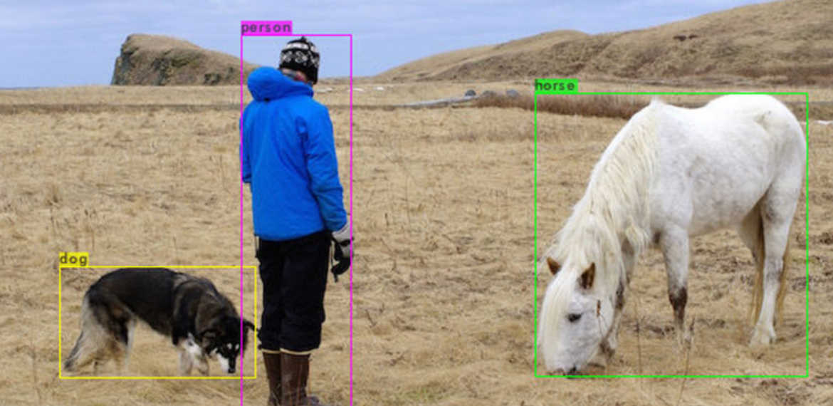 Let’s build an object detector using Python + Machine Learning! | by ...