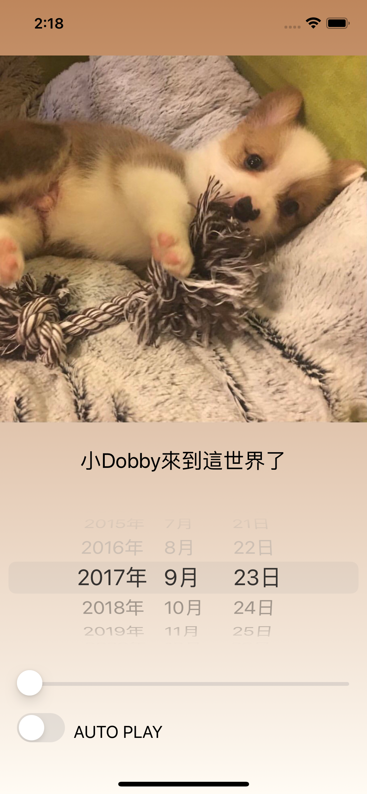 19 5yearchallenge,狗狗成長紀錄 Uidatepicker Uislider Uiswitch … By Claire Pan 彼得潘的 Swift