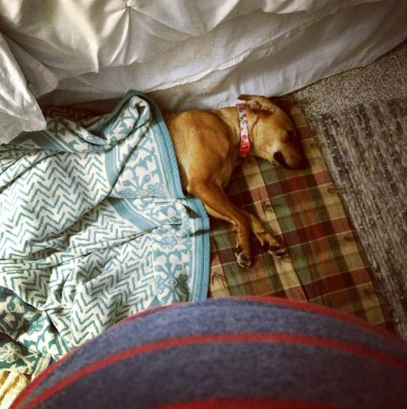 Sometimes You Never Know…. An idea popped into my head and I… | by ...