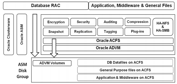 Devops Series Setup Oracle Acfsasm Cluster File System On Oracle 19c Rac Database With 5686