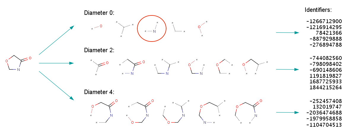Cheminformatics — ECFP & Neural Graph Fingerprint | by Hacer Tilbec ...