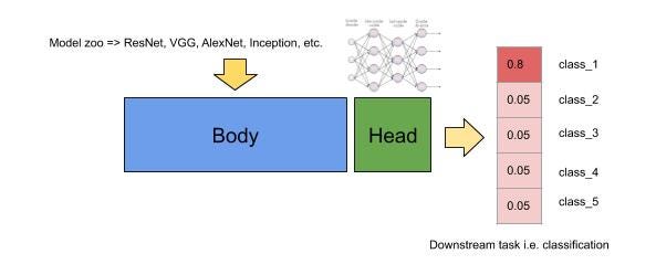 ทำ Image Classification/Transferred learning ด้วย Pytorch🔥 | by ...
