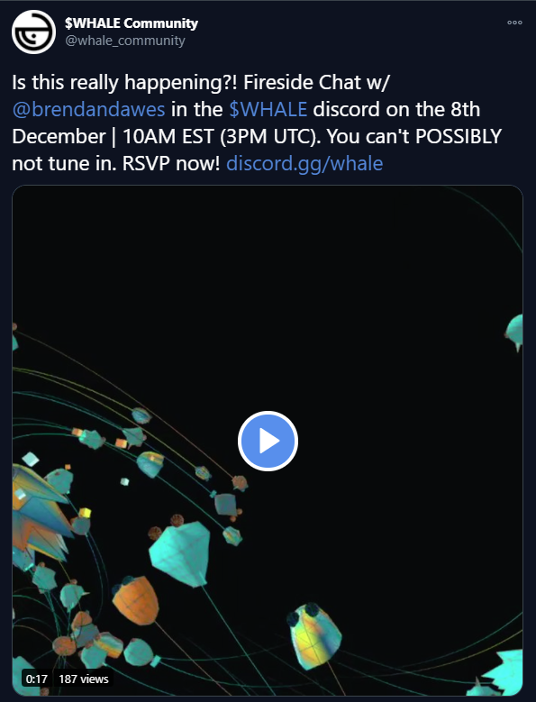 Whale Mail Vol 5. Hi everyone and Happy Holidays to you… | by Triton ...