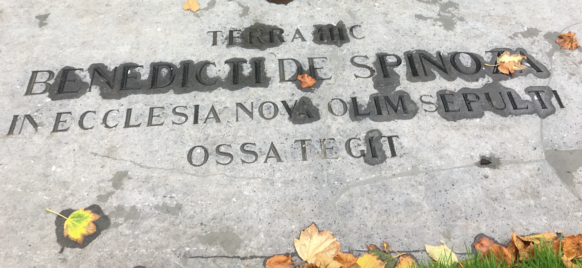 Reading Wordsworth and Spinoza in Difficult Times | by Roger Whitson ...