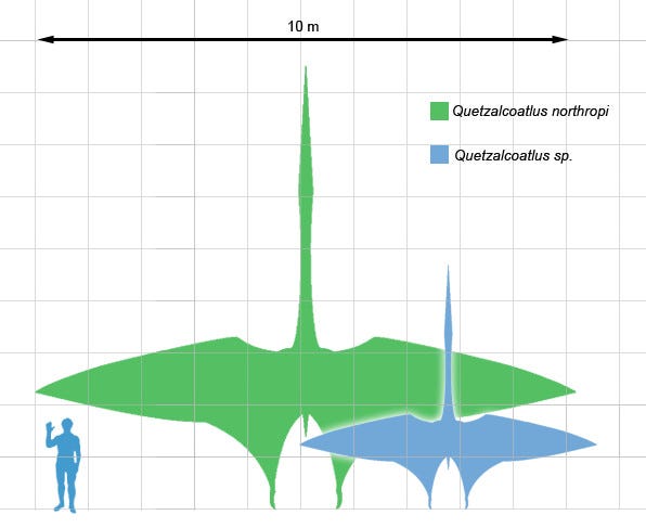 Quetzalcoatlus Size Comparison