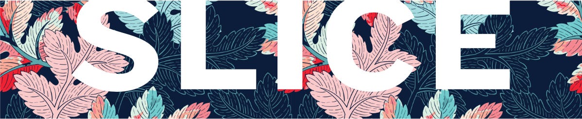 Slice Magazine Reminds Us That Good Writing Is Eternal | by Katie Tandy ...