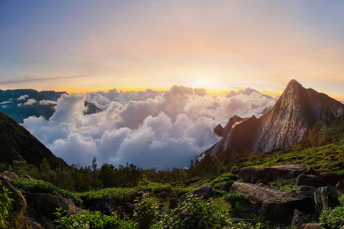 MUNNAR-A HEAVENLY PLACE!!. Munnar, Kerala is one of the major… | by ...