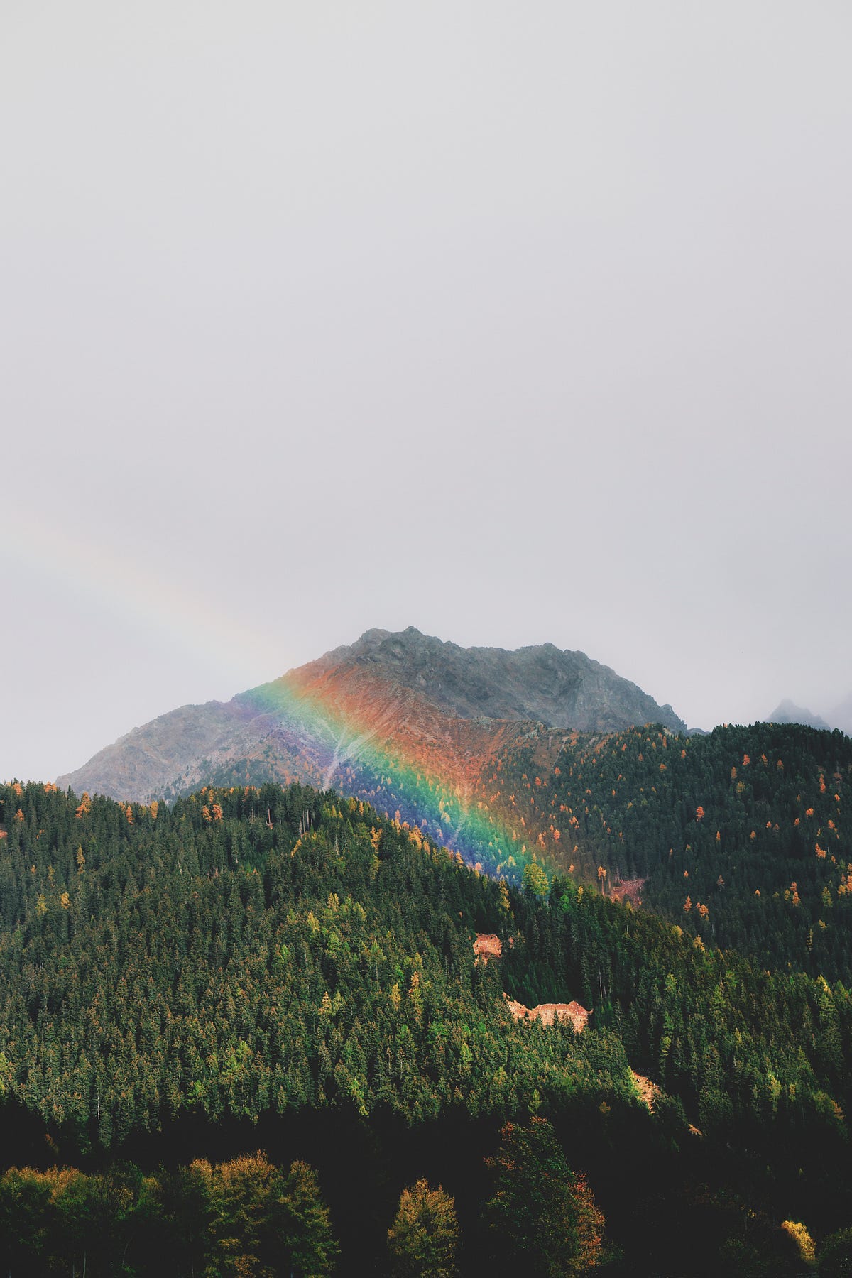 Rainbow - Zen Poetry - Medium
