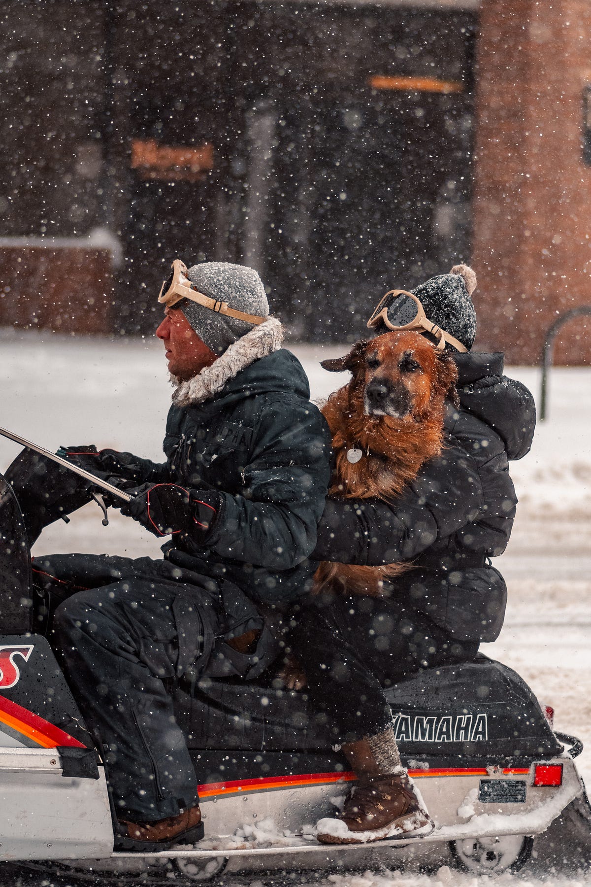 Crazy Weather Extremes in the US More Evidence of Global Warming | by ...