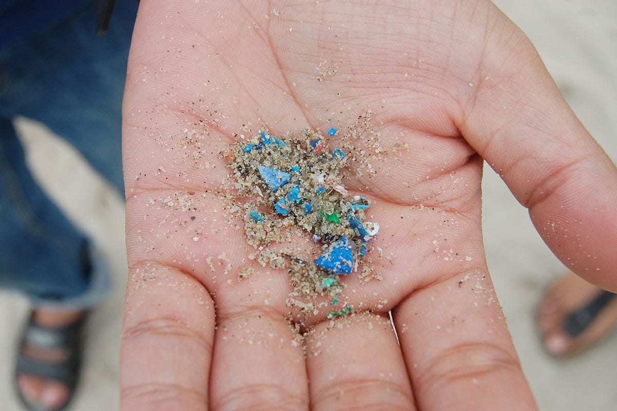 New evidence points to microplastics’ toxic impact on the human body ...