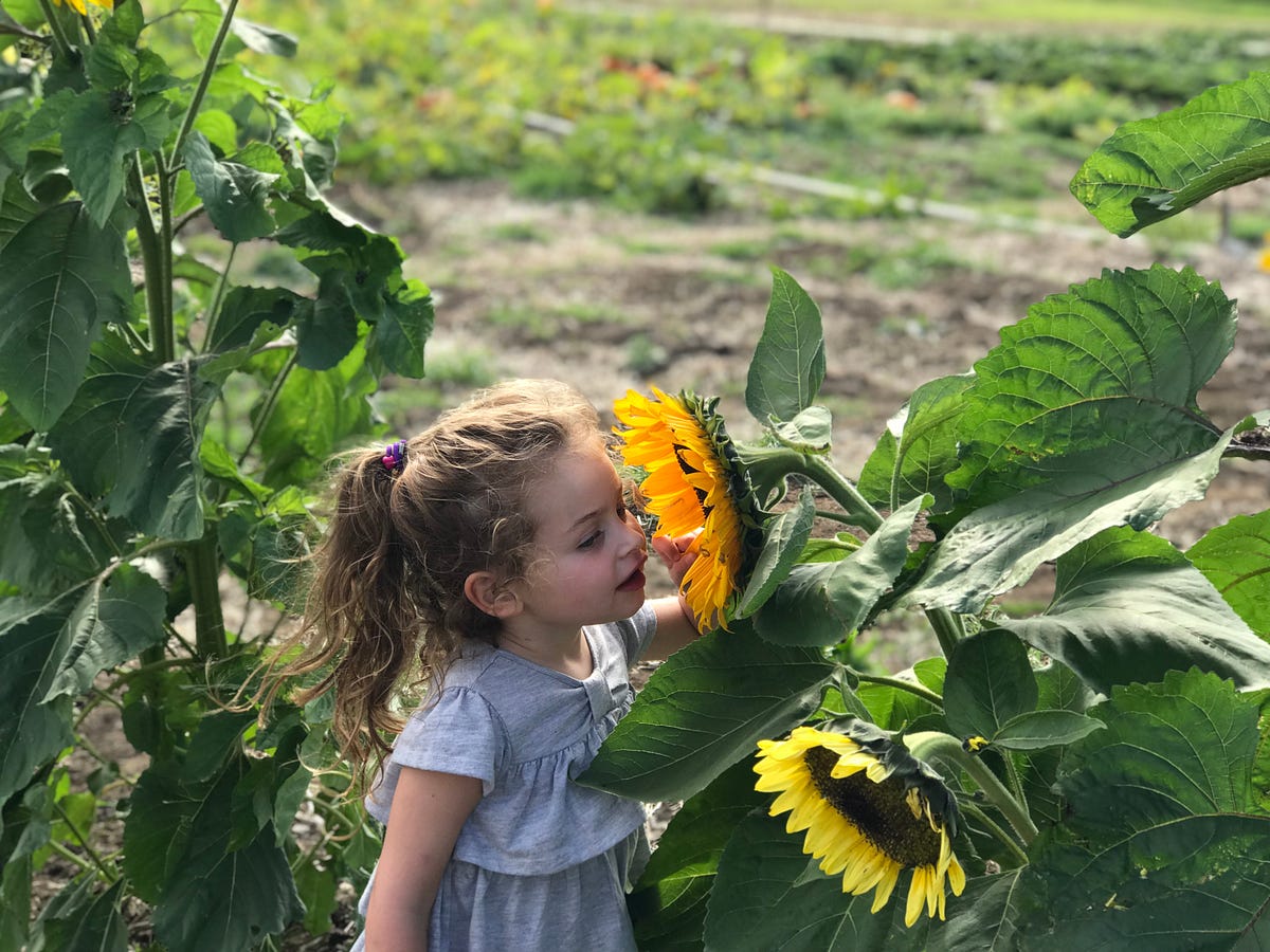 Faith Grown in a Garden. Heritage flows through our veins with… | by ...