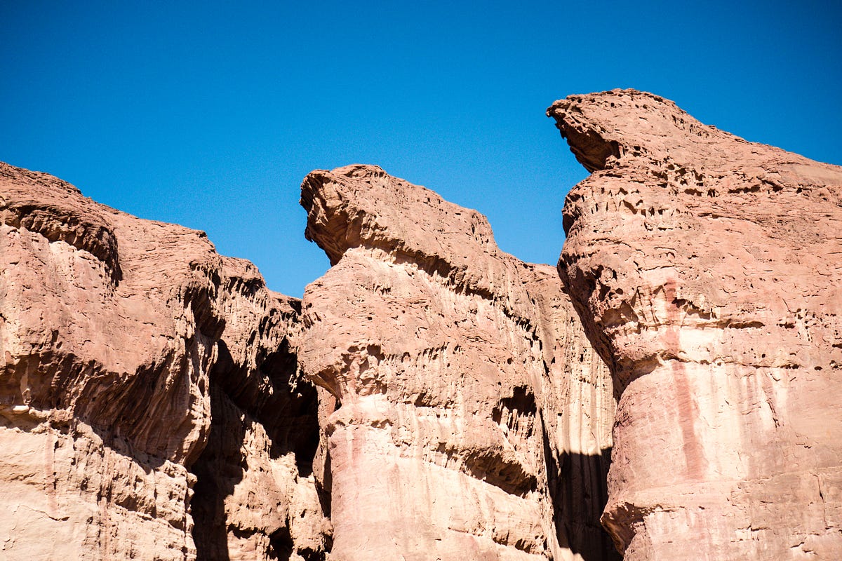 How To Fix The React ‘useeffect Function Must Return A Cleanup Function Or Nothing Warning