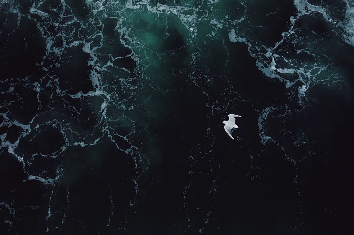 Albatross. a poem inspired by rime of the ancient… | by Katie Rodante ...