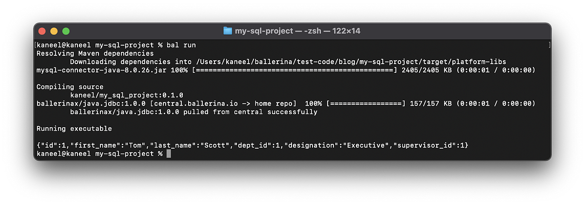 Connecting to and using Google’s Cloud SQL with Ballerina | by Kaneel ...