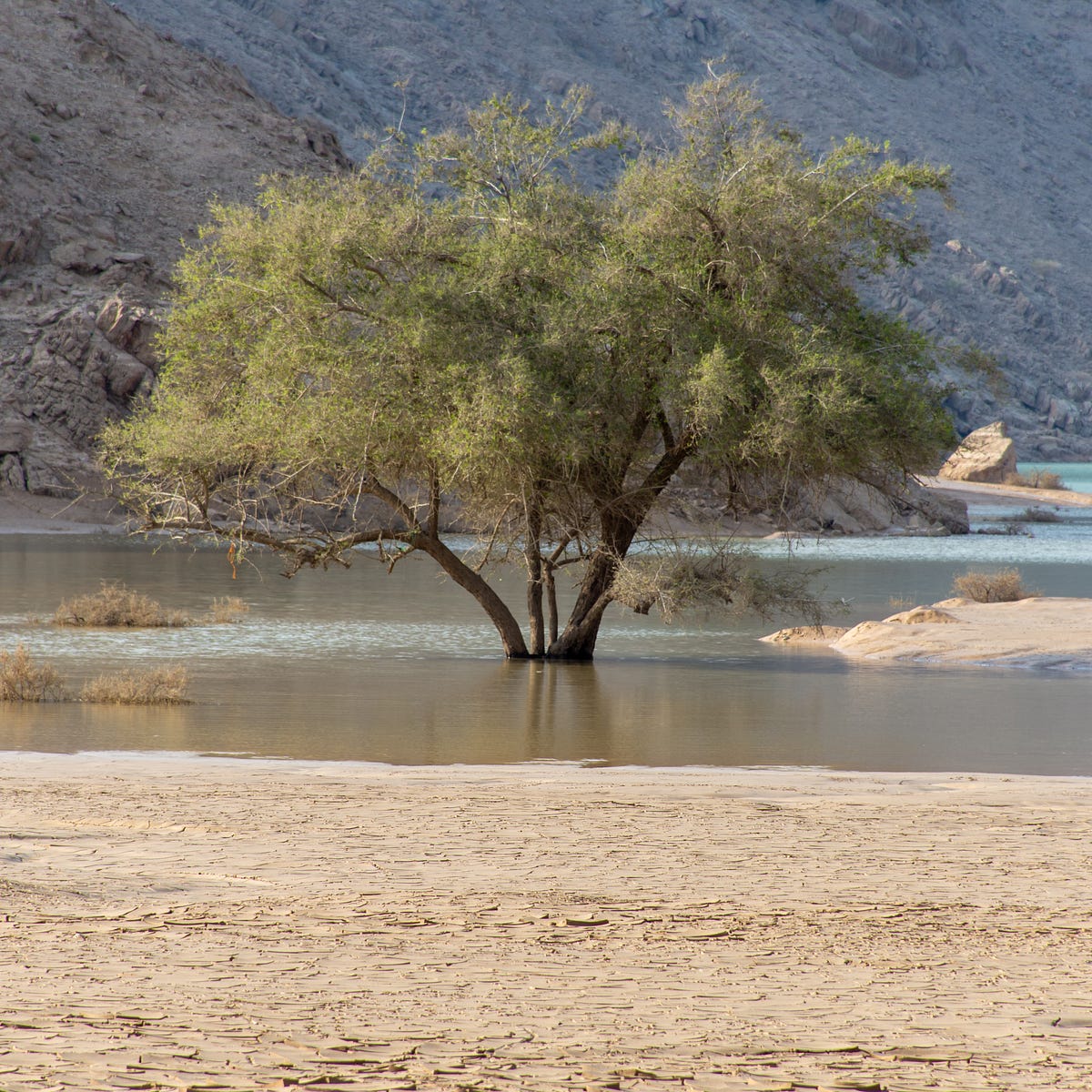 “The top 5 scary realities of climate change: It’s not just about ...