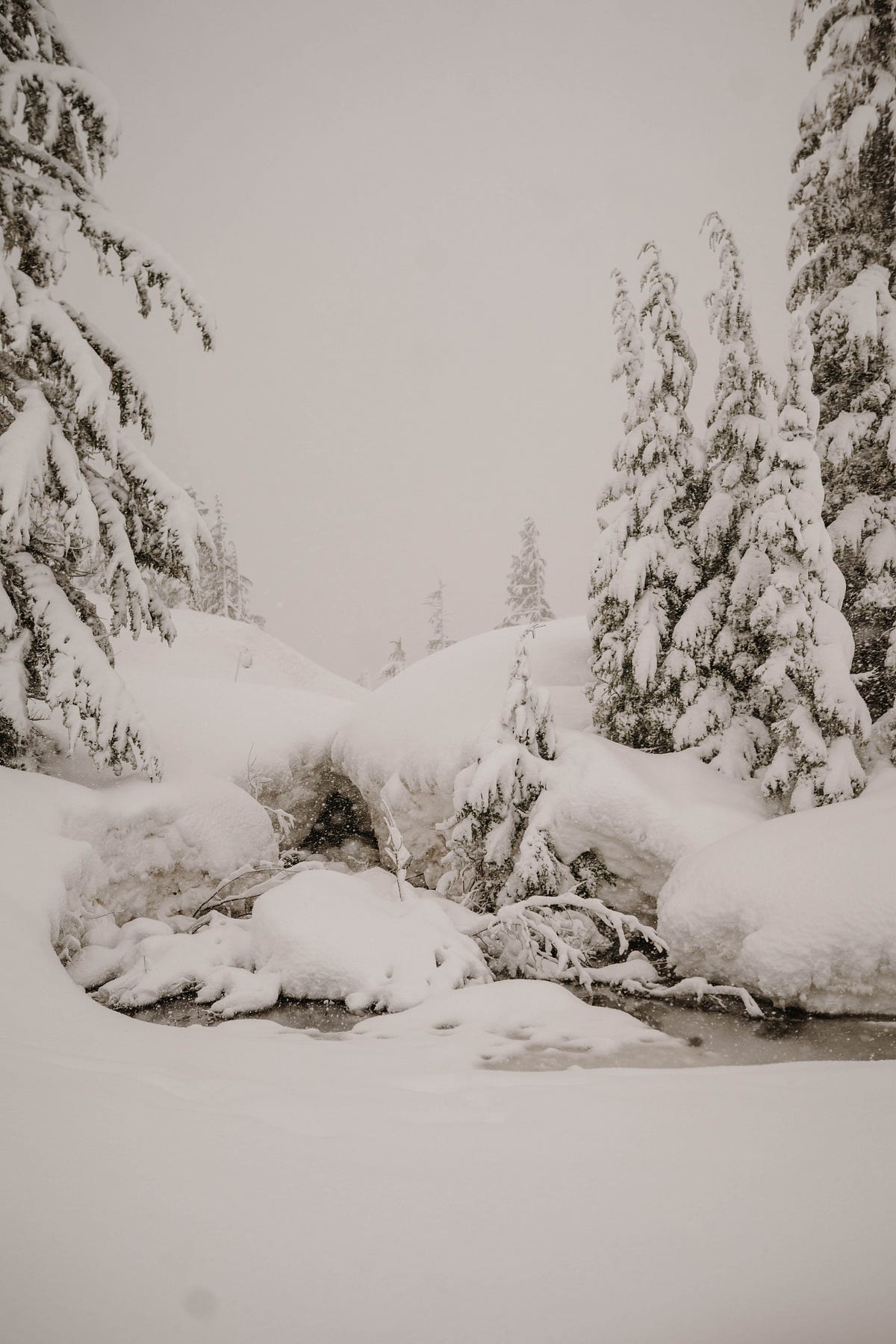 Lost in the Snow. On almost losing a friend on the slopes… | by Jenn ...