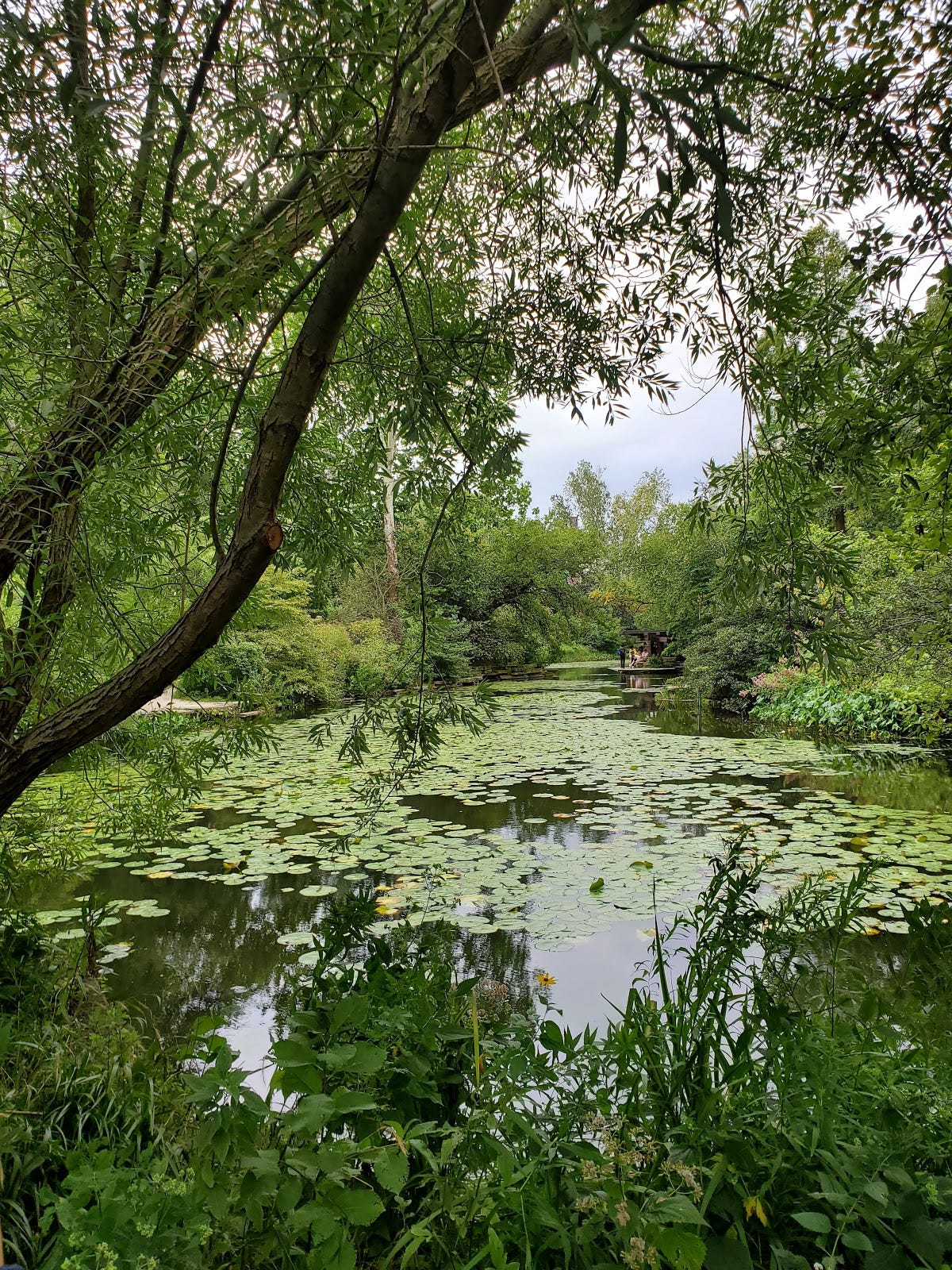 Nature in the City. When people think of Chicago, they… | by Alexa ...