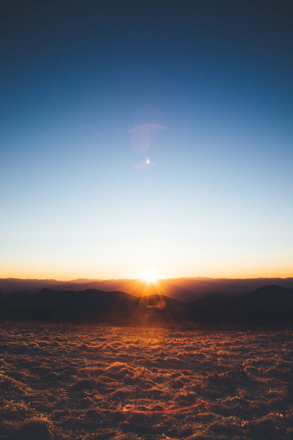 New Sun - Lifeline - Medium