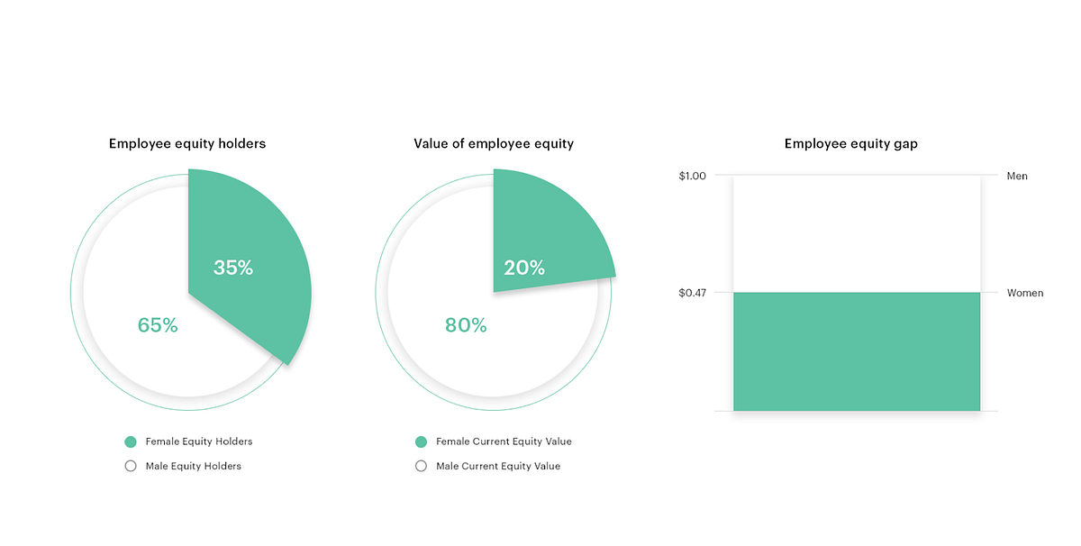 Using data science to explore gender and race gaps in equity ...