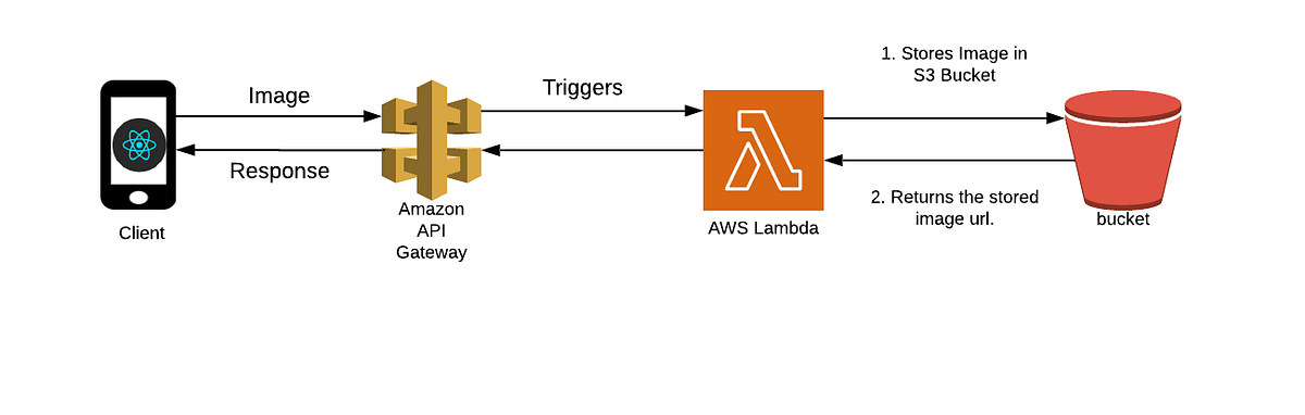 Object Detection In React Native App Using Tensorflow Js