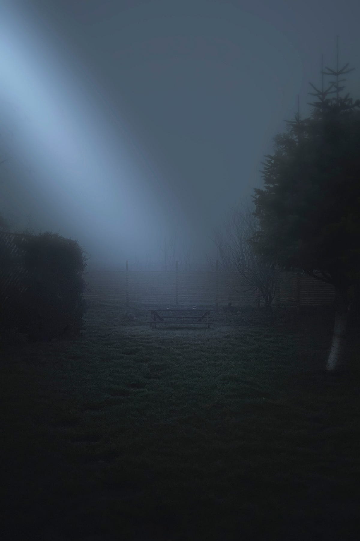 Decapitated Love. Drop of Blood | by Kira Dawn | The Intoxicating ...