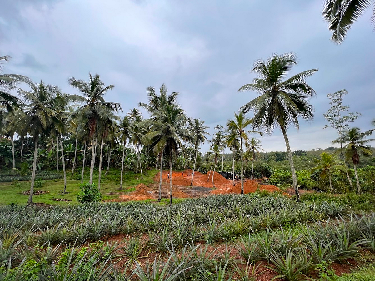 Announcing the Avinya Academy in Bandaragama! | by Sanjiva Weerawarana ...