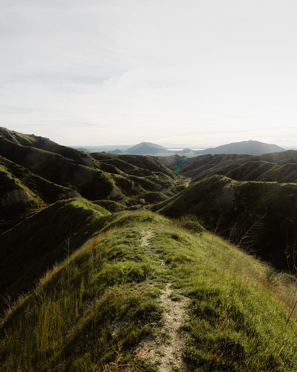 how-to-spot-greedy-algorithms-in-your-coding-interviews-by-devansh