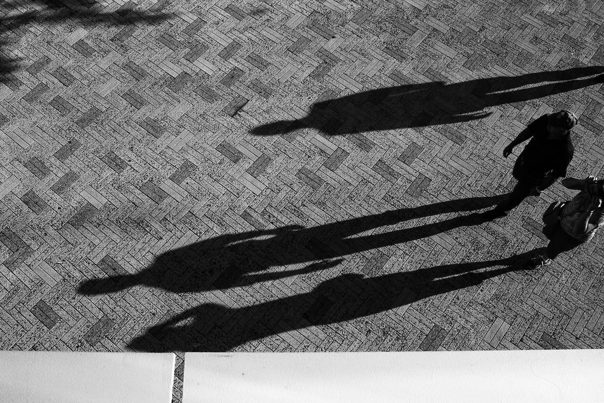 Darkness brings shadows to life. They move, they creep and they crawl ...