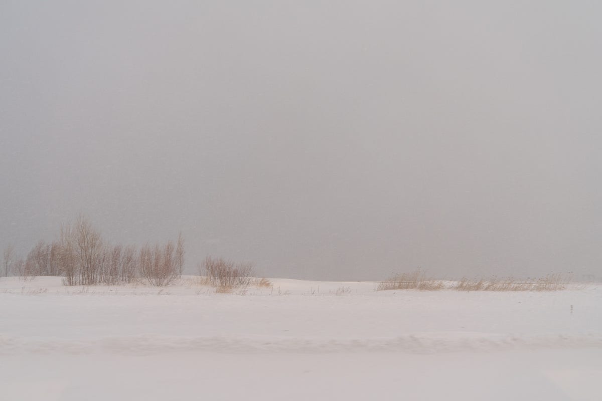 Thee Quest Haiku Moment. Make you Haiku special | by Pierre Trudel ...