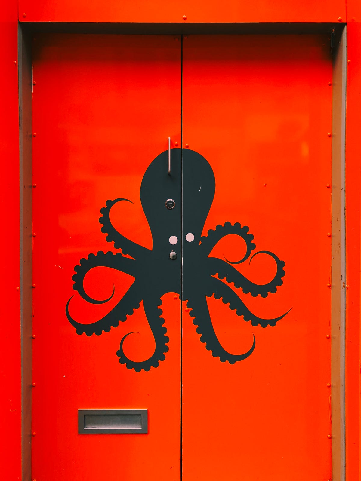 Have You Ever Seen A Seven-Legged Octopus? | by Rasheed Hooda ...