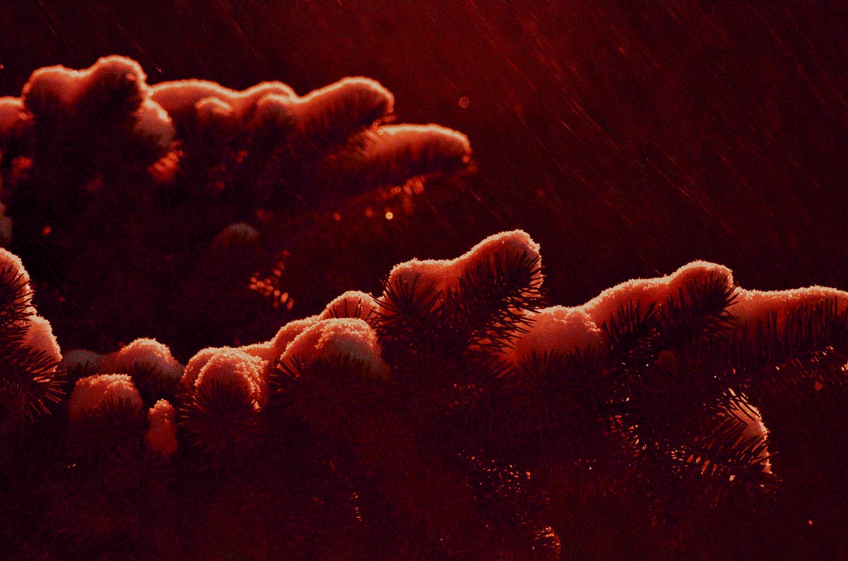 Fever Storm - Scribe - Medium
