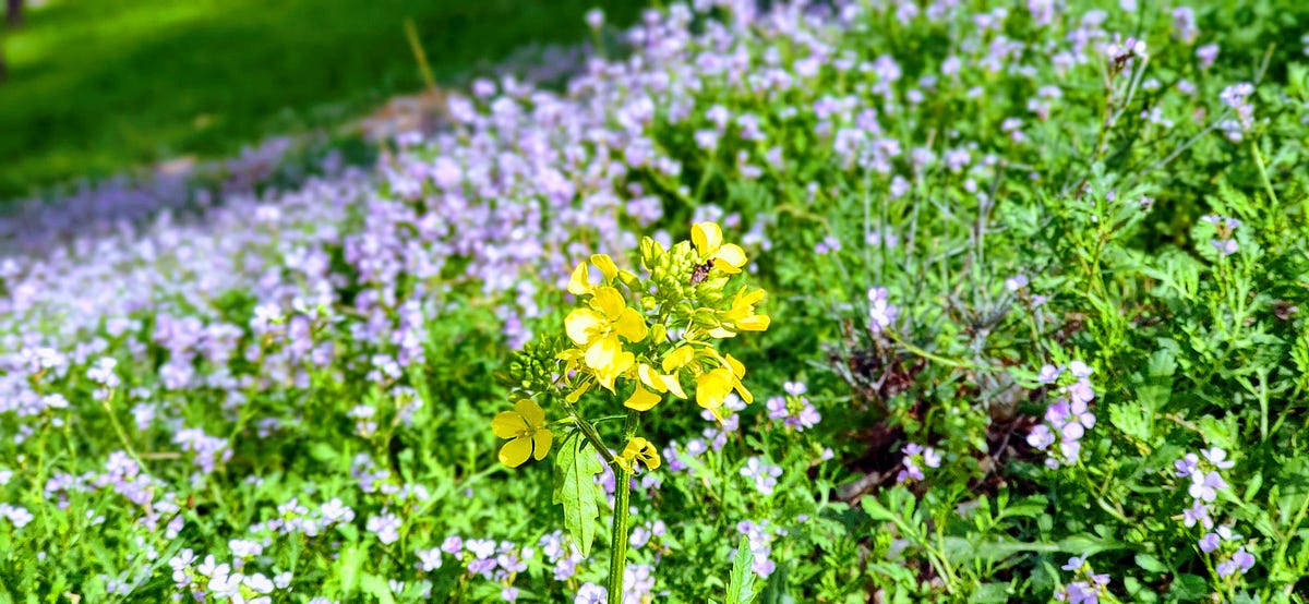 Node.js Tips — Modules, Request Bodies, Reading Lines, and More | by ...