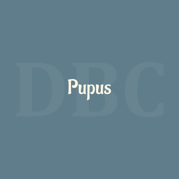 Guitar Chords Pupus — Ahmad Dhani & Indra Lesmana | by Wibowo Nurul ...