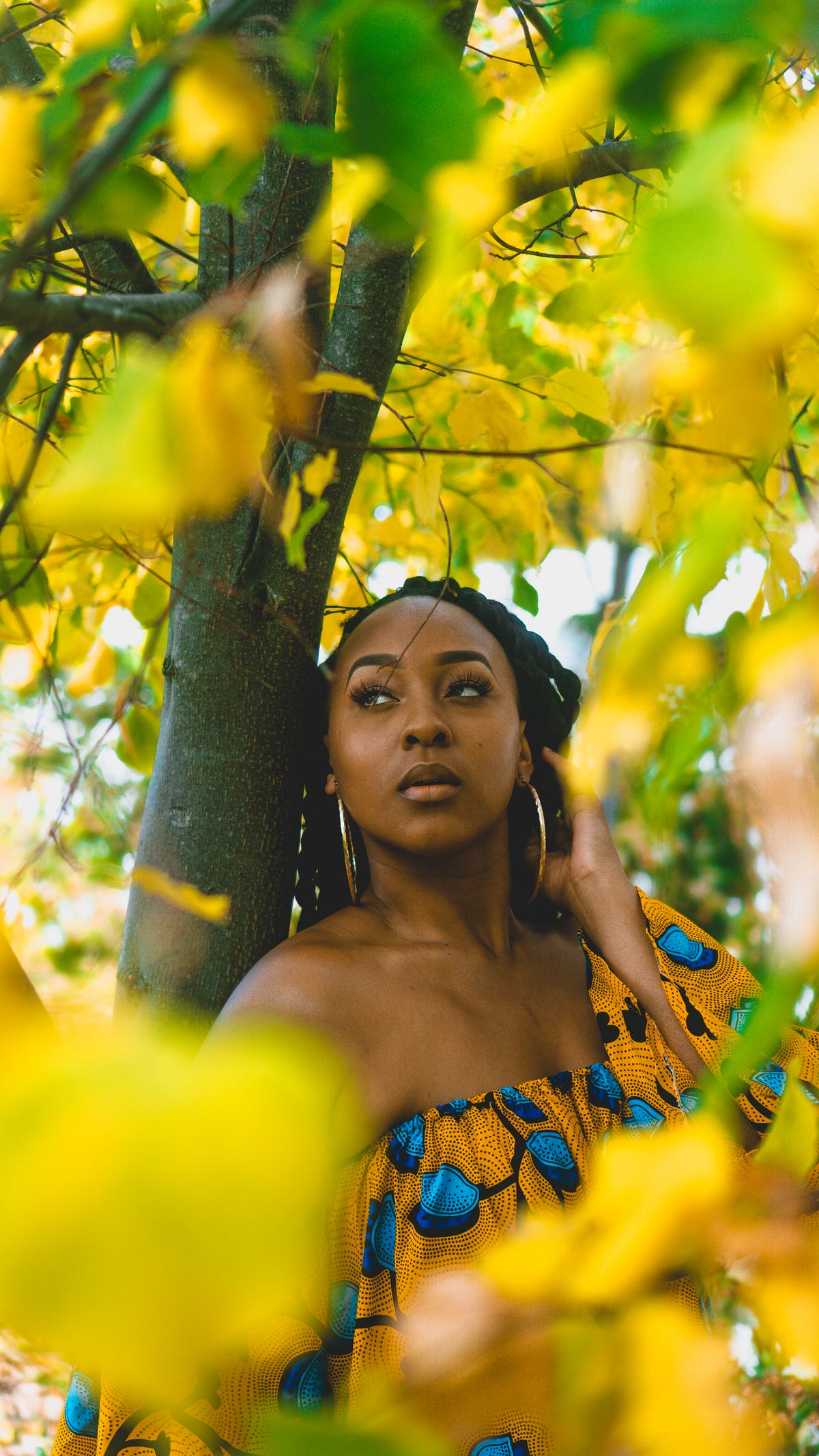 My Soul is The Manuscript of Free Will | by Fanae-5, MS | Know Thyself ...