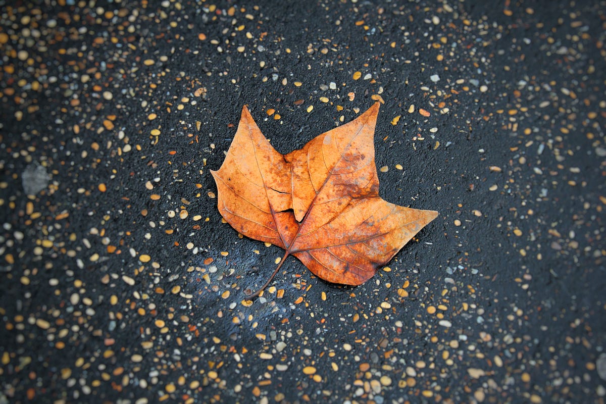 Let Sorrow In Give It Your Attention And You ll See By Martha