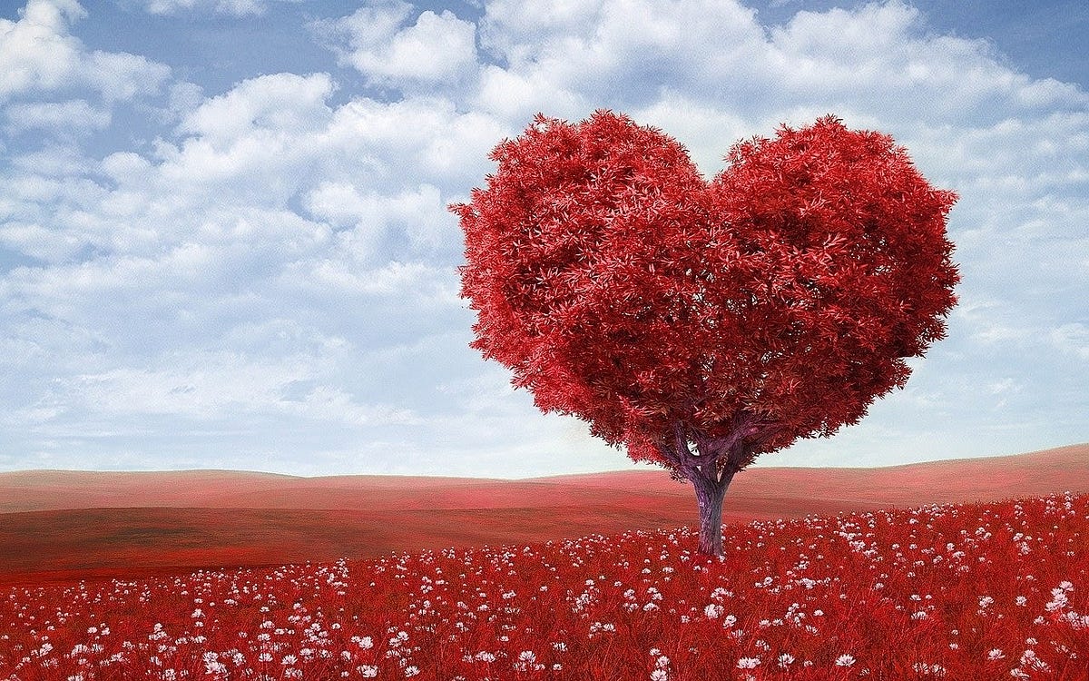 everything-you-need-to-know-to-love-yourself-by-the-millennial